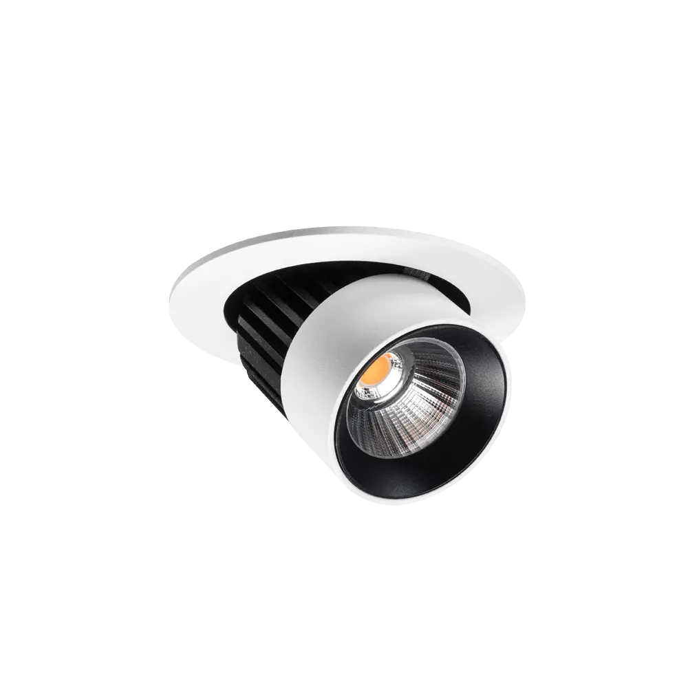 Unios Switch Adjustable Downlight