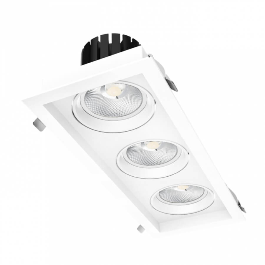 Lightel A21-513/60W 60w Adjustable Double LED Downlight | Davoluce Lighting
